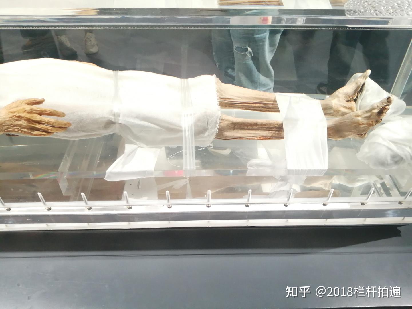 荆州：“荆州博物馆”（6）【荆州鲁家山清代女尸专题展】 - 知乎