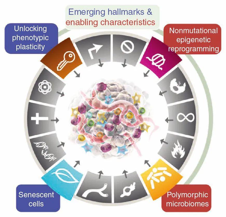 每10年一版的“Hallmarks of Cancer”牛文指引肿瘤研究热点 - 知乎