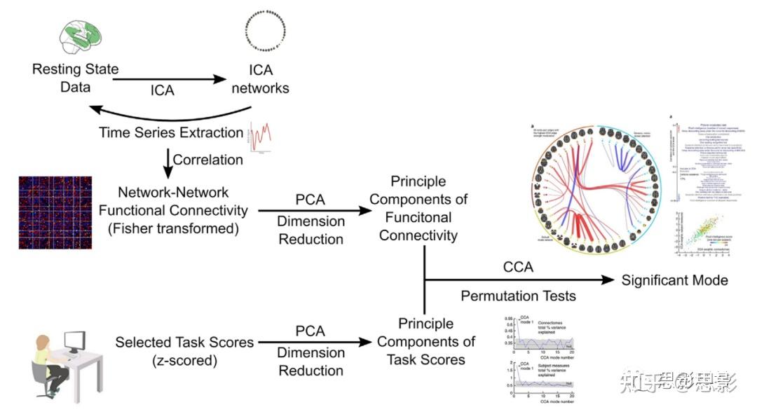 在高维数据中寻找价值线索：神经科学家的典型相关分析（CCA) - 知乎