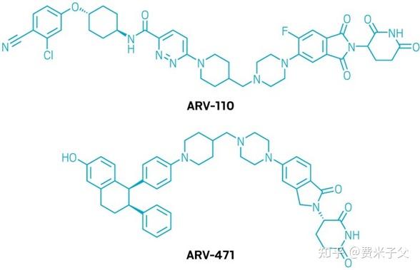 PROTAC降伏雄激素受体 - 知乎
