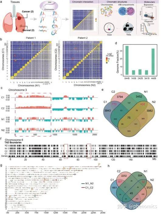Phenomics | Phenomics期刊2023年第四期文章合集 - 知乎