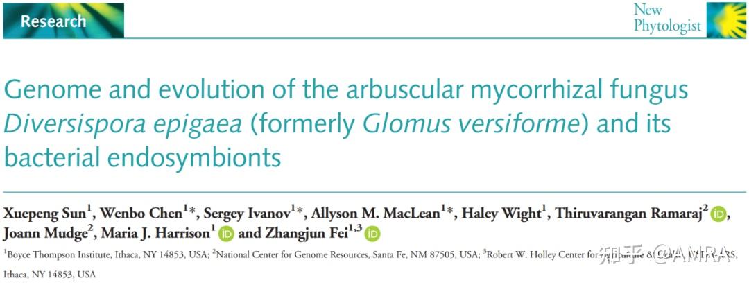 目前最全的丛枝菌根真菌基因组（8个菌种） - 知乎