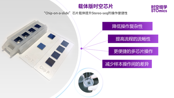 重磅 | 人人可及，时空组学技术Stereo-seq再次升级 - 知乎