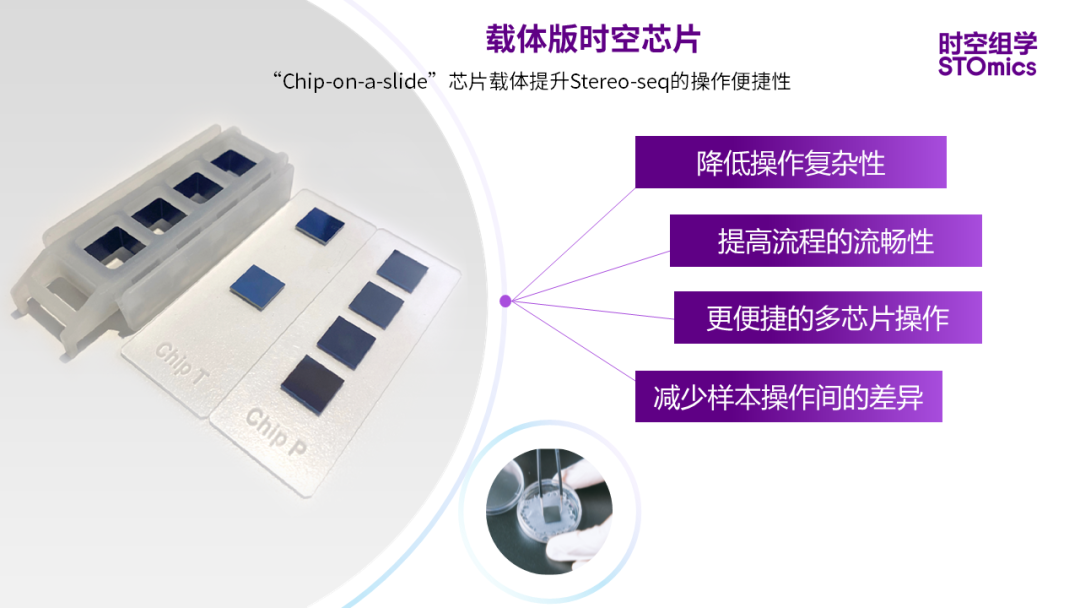重磅 | 人人可及，时空组学技术Stereo-seq再次升级 - 知乎
