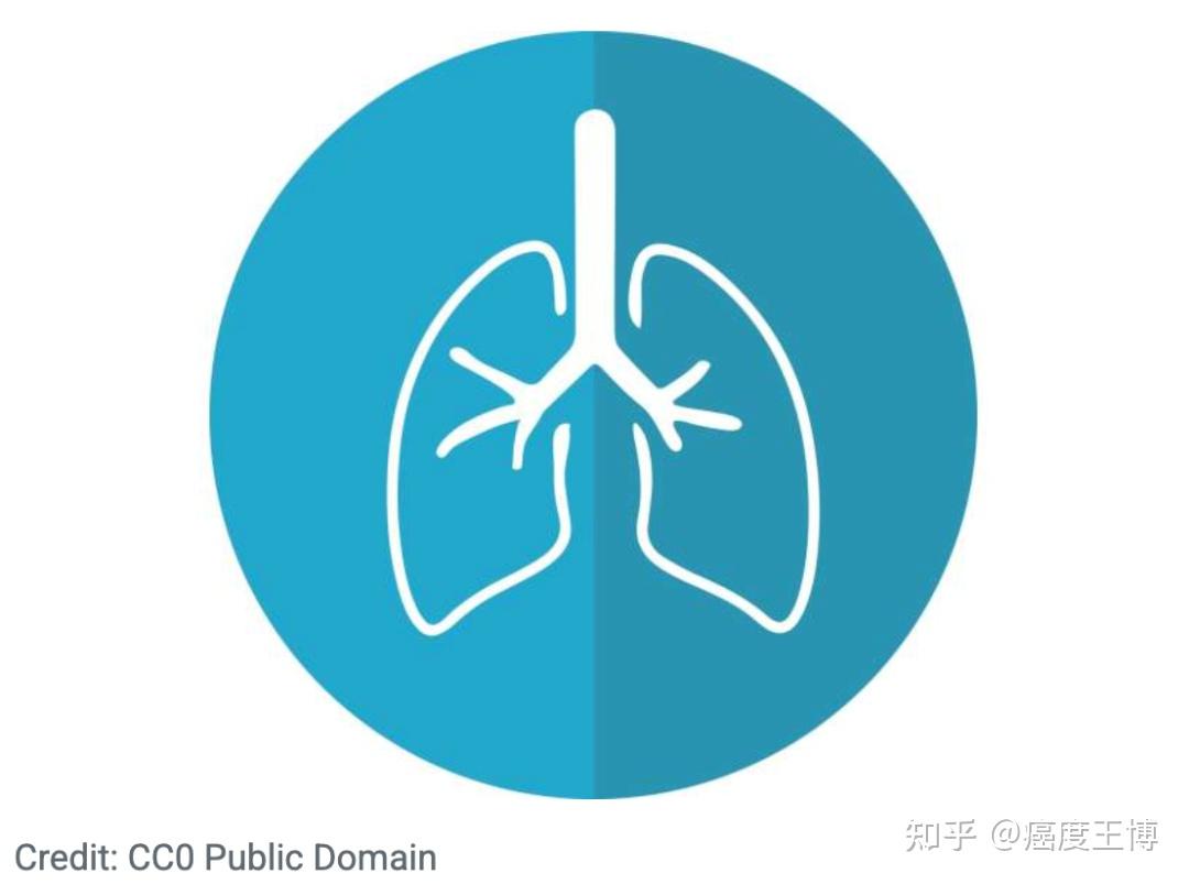 新药物靶点MTAP在所有癌症突变概率为15%，新药BMS-986504恰好克制它，疾病控制率80%！ - 知乎