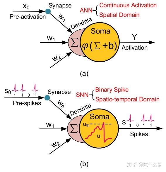 第三代神经网络初探：脉冲神经网络（Spiking Neural Networks） - 知乎