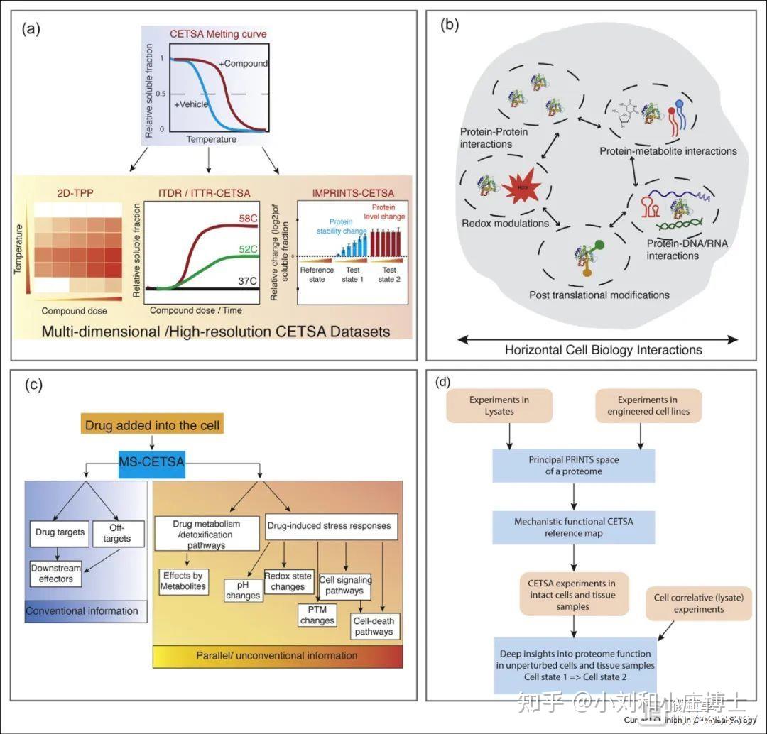 CETSA实验，助力药物靶点验证 - 知乎