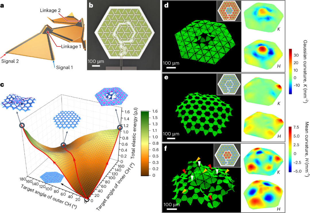 科学家研发微型变形机器人，在100毫秒内实现40%面积伸缩和定向运动 - 知乎
