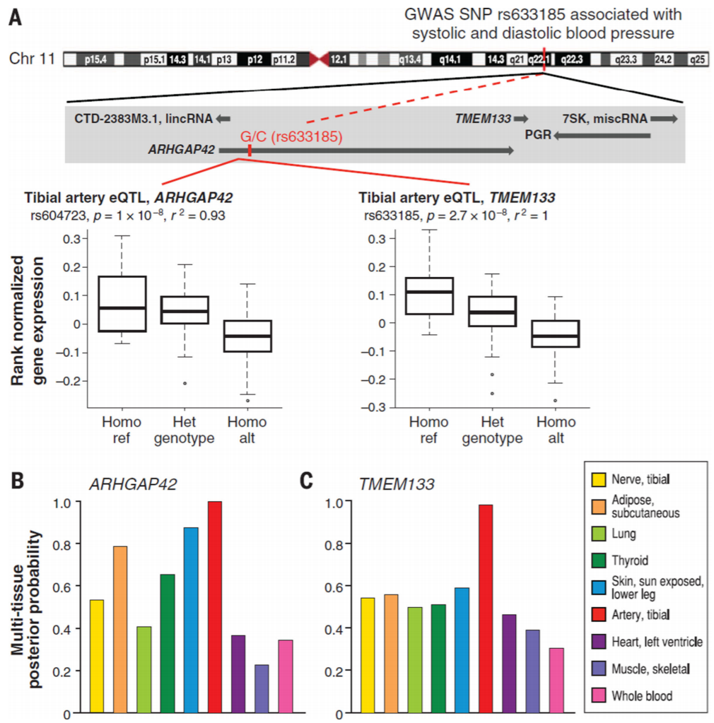 SCI赏图录（3）： TCGA 和GTEx 数据库联合分析 - 知乎