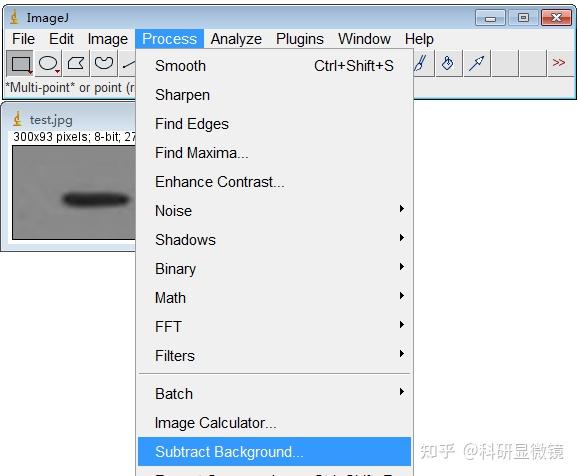 ImageJ惊艳登场！分分钟搞定WB条带灰度分析（内含免费软件包） - 知乎