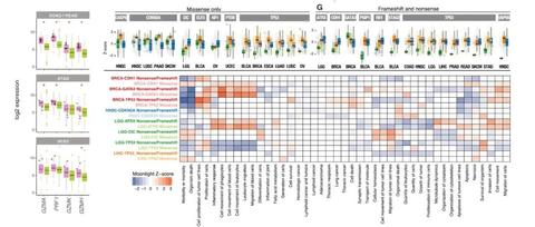 TCGA教程|TCGA更新了？！最新数据处理拿捏住！ - 知乎