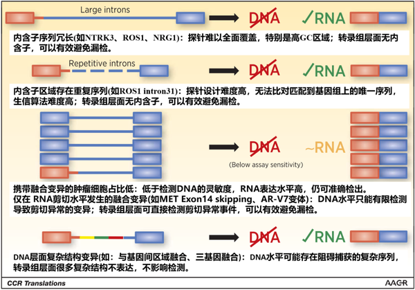DNA-NGS与RNA-NGS检测融合基因临床意义的对比 - 知乎