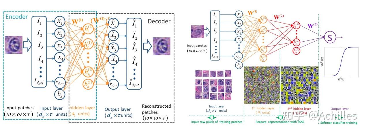 基于深度学习的计算病理学初探 - 知乎