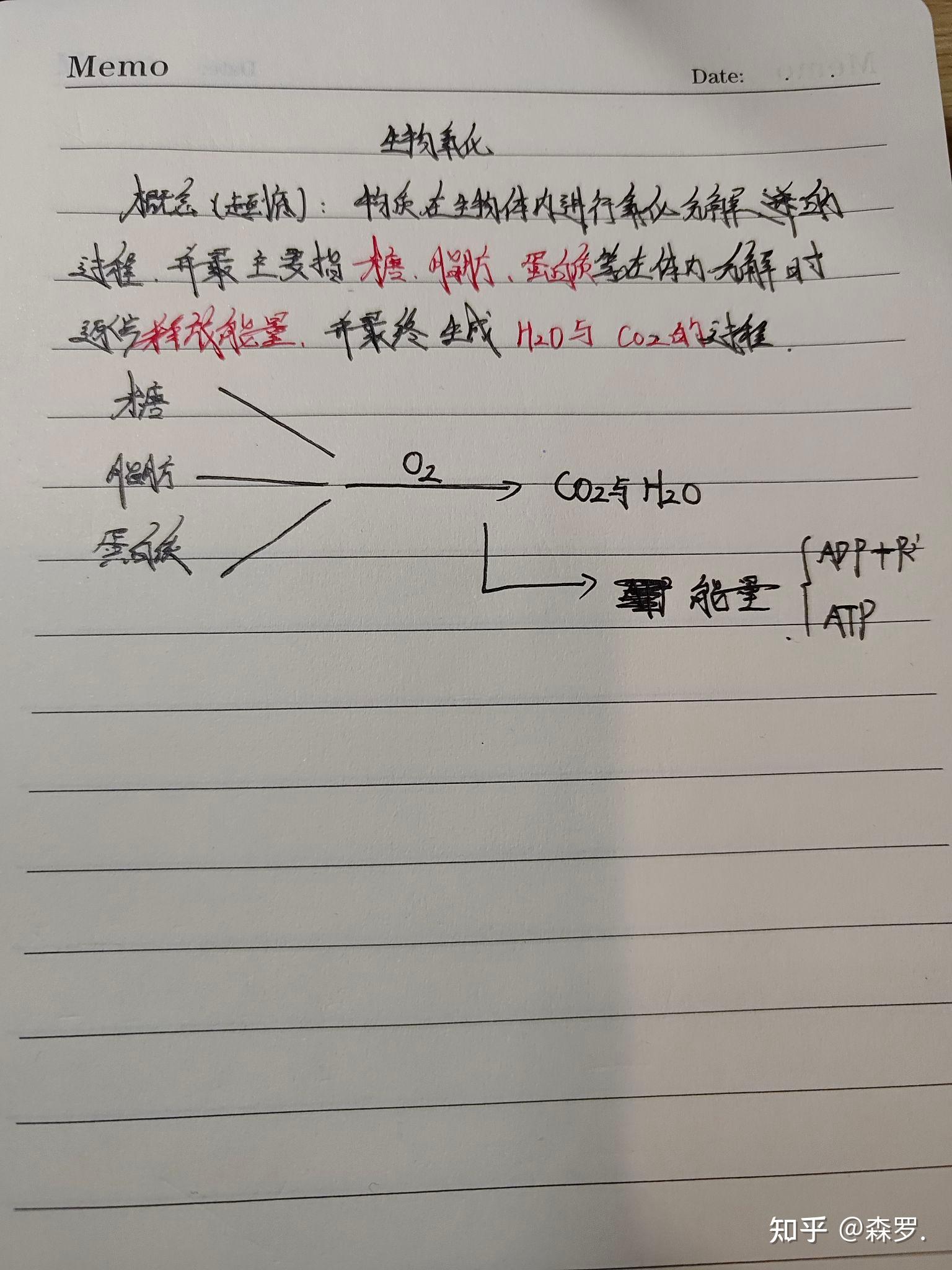 第二十七天 知乎