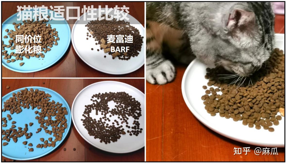 重回天然饮食，麦富迪barf猫粮有哪些优势？ - 知乎