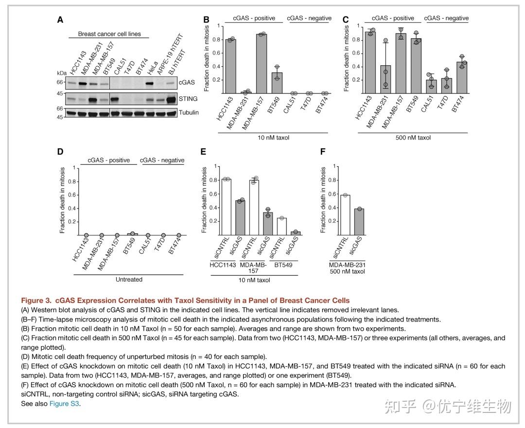 看19年Cell是怎么把cGAS促进细胞死亡讲明白的 - 知乎