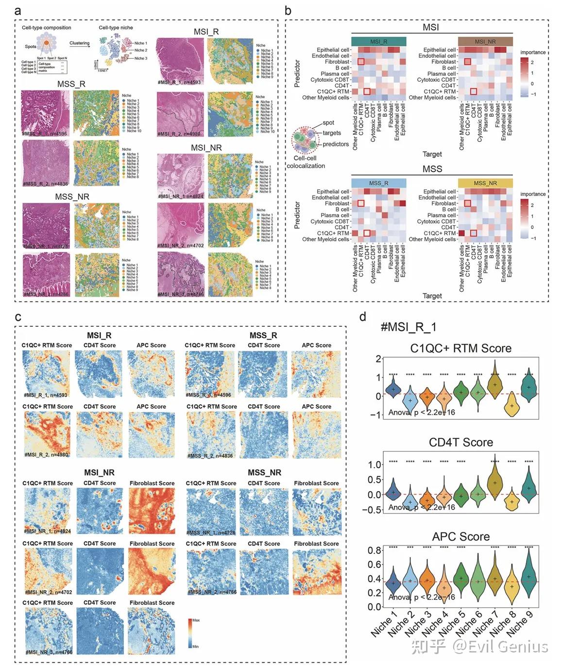 文献分享--结直肠癌微环境中空间分辨的C1QC+巨噬细胞-CD4+ T细胞生态位：对免疫治疗应答的启示 - 知乎