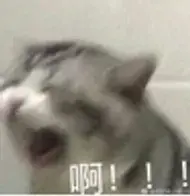 SVN报错：database disk image malformed additional errors 修复记录 - 知乎