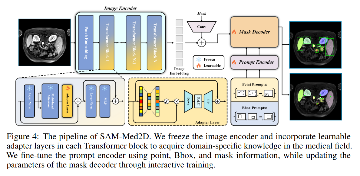SAM在医学影像中的应用（最新） - 知乎