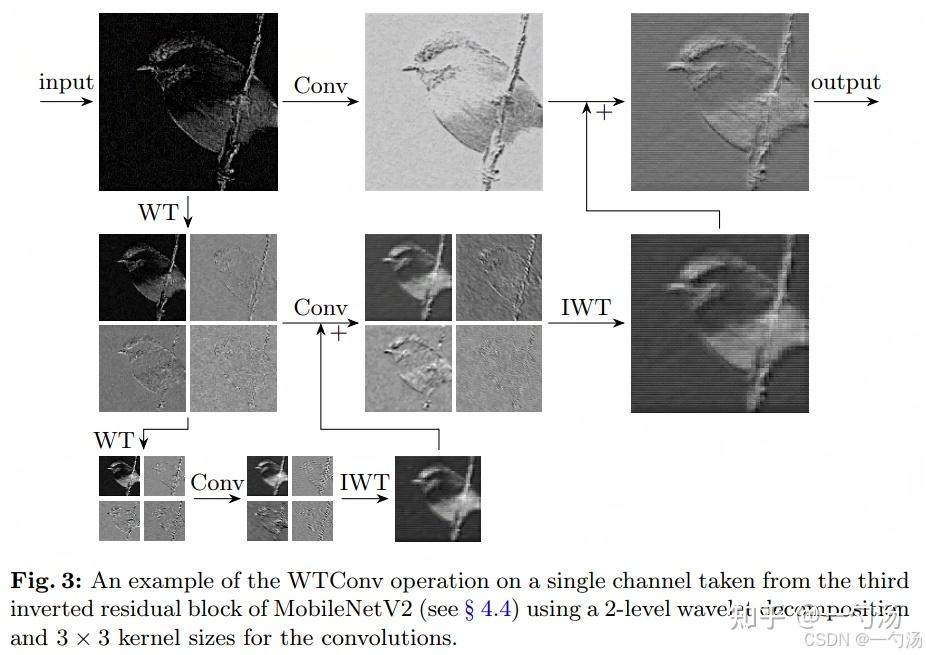 YOLOv11改进-引入小波卷积WTConv 解决多尺度小目标问题 - 知乎