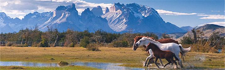 英语词语杂谈（17） worth one's salt - 知乎