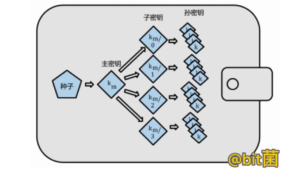 理解开发 HD 钱包涉及的 BIP32、BIP44、BIP39 - 知乎