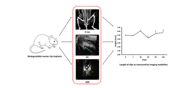 如何制作高质量的图文摘要（Graphical Abstract），建议收藏！ - 知乎