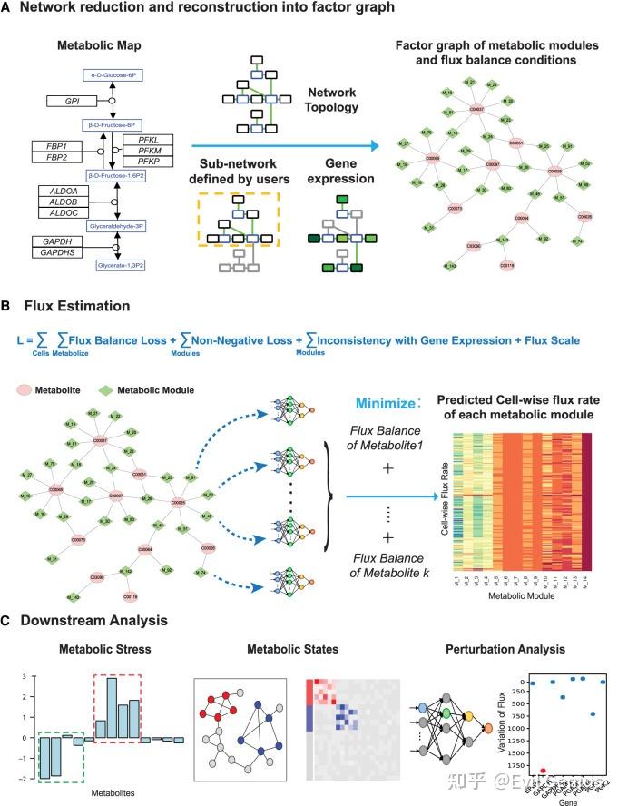 10X单细胞（10X空间转录组）数据分析之代谢推断篇 - 知乎