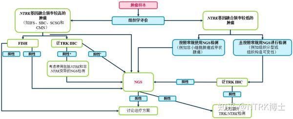 大咖解读：NTRK基因融合肿瘤的诊断和检测 - 知乎