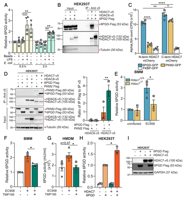 PNAS丨HDAC7 是一种免疫代谢开关，可对巨噬细胞中抗菌反应与炎症反应的危险信号进行分类 - 知乎