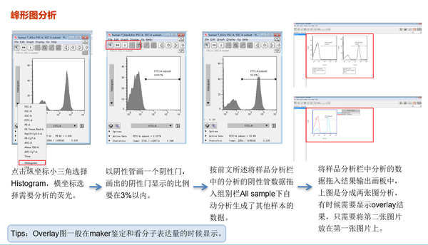 如何成为“FlowJo”高手，看这里👇！！！ - 知乎