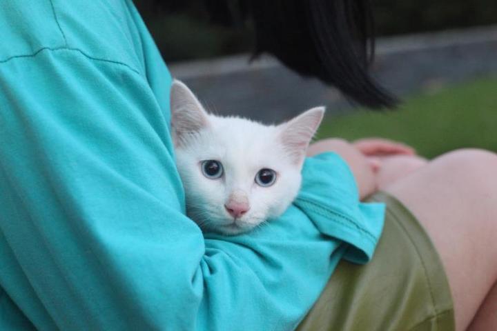 ADIS16209传感器 - 知乎