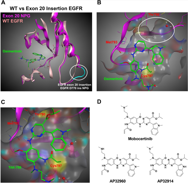 已验证优势骨架, or 新骨架? EGFR 20ins as an example - 知乎