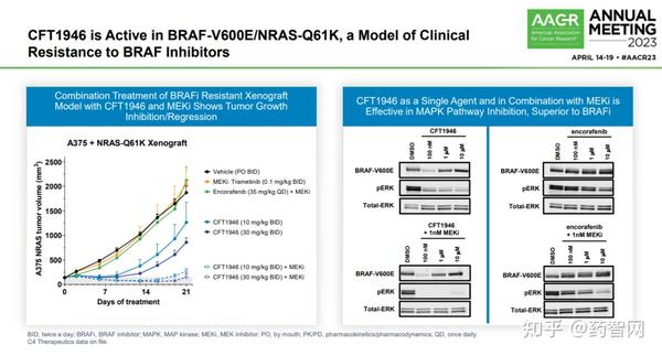 蛋白降解剂新篇章：2023年6大创新靶点临床进展深度解析（下） - 知乎