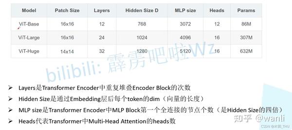 Vision Transformer(ViT)网络详解 - 知乎