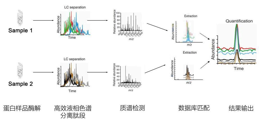 Label Free(非标记蛋白质组学技术) - 知乎
