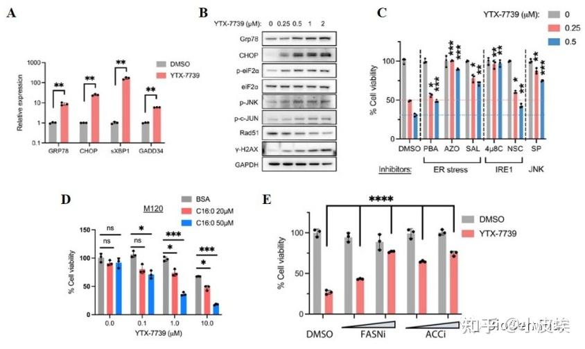 Sci Trans Med | 药物研究如何发高分文章？ - 知乎
