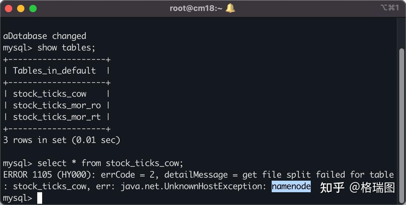 Apache Doris-0119-数据湖分析-04-Hudi - 知乎