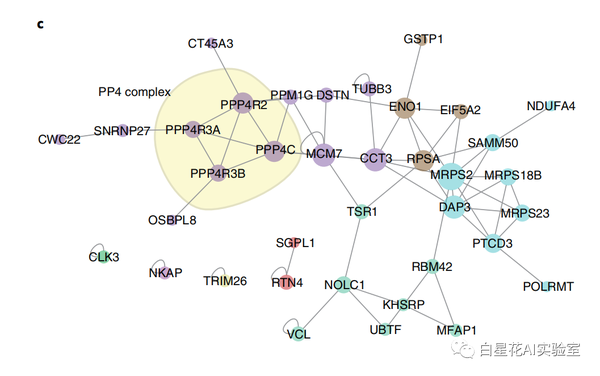 高分SCI解读|CKG如何增强和丰富蛋白质组学数据 - 知乎