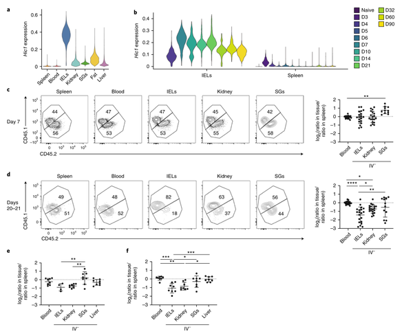 Nat Immu | CD8+ T细胞组织特异分化图谱 - 知乎
