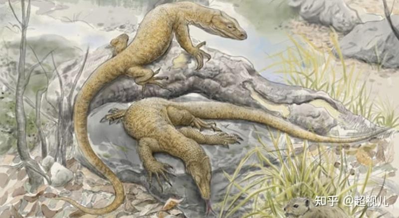 古近纪——哺乳动物的崛起 - 知乎