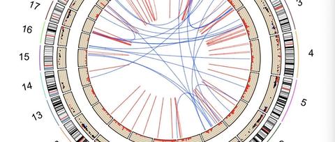 用R画circos图及代码 - 知乎