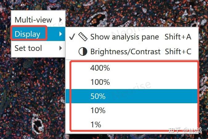 QuPath使用指南②：界面认知与基础标注 - 知乎
