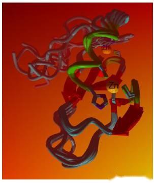 YASARA综合分子模拟软件简介 - 知乎