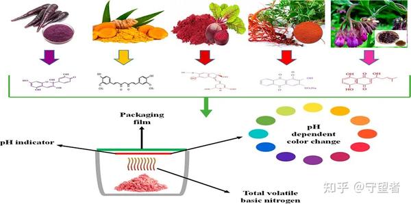 ACS Food Science & Technology综述：天然食用色素在智能食品包装应用最新进展 - 知乎