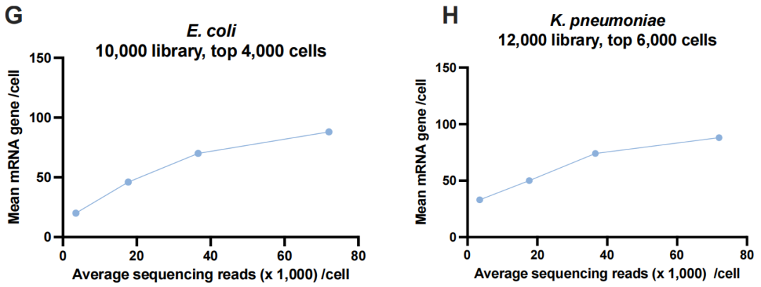 实测千例里程碑达成！ M20高通量单细菌RNA测序技术性能、数据全方位领跑 - 知乎