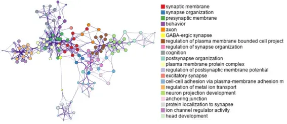 带你轻松搞定发表级富集分析绘图！——Metascape 快速上手指南 - 知乎