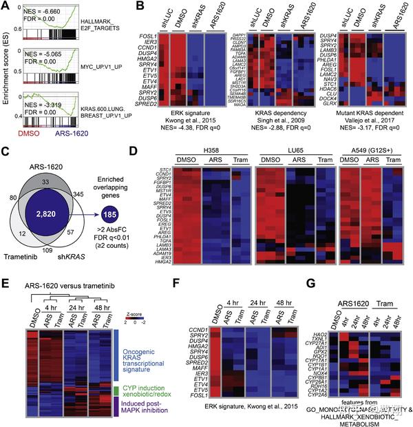 针对K-RAS突变癌症 - 知乎