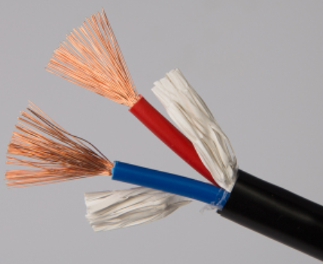 RVV和RVS有什么不同? - 知乎