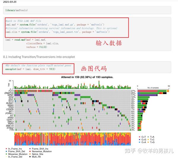 R语言maftools包画oncoplot(瀑布图)的一个简单小例子 - 知乎
